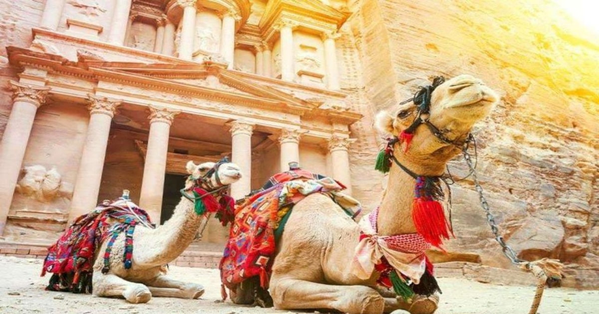 One Day Tour from Aqaba to Petra then Aqaba | GetYourGuide