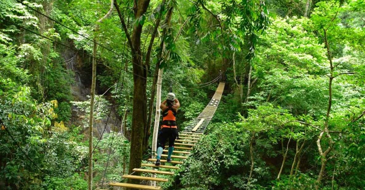 Jacó: 5-in-1 Adrenalin-Baumkronen- und Dschungelabenteuer | GetYourGuide