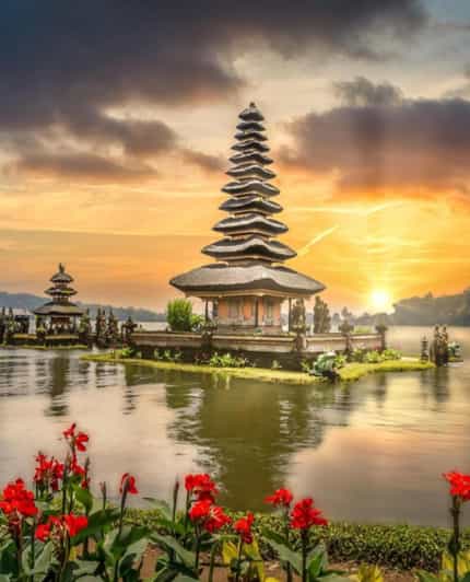 North Bali private 1-day tour | GetYourGuide