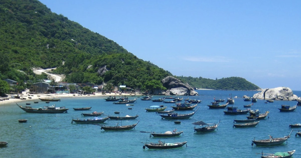 Private Tour: Cham Islands Snorkeling Trip | GetYourGuide