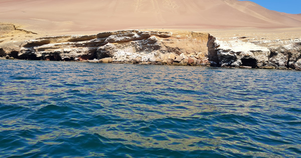 Paracas Private Tour | GetYourGuide