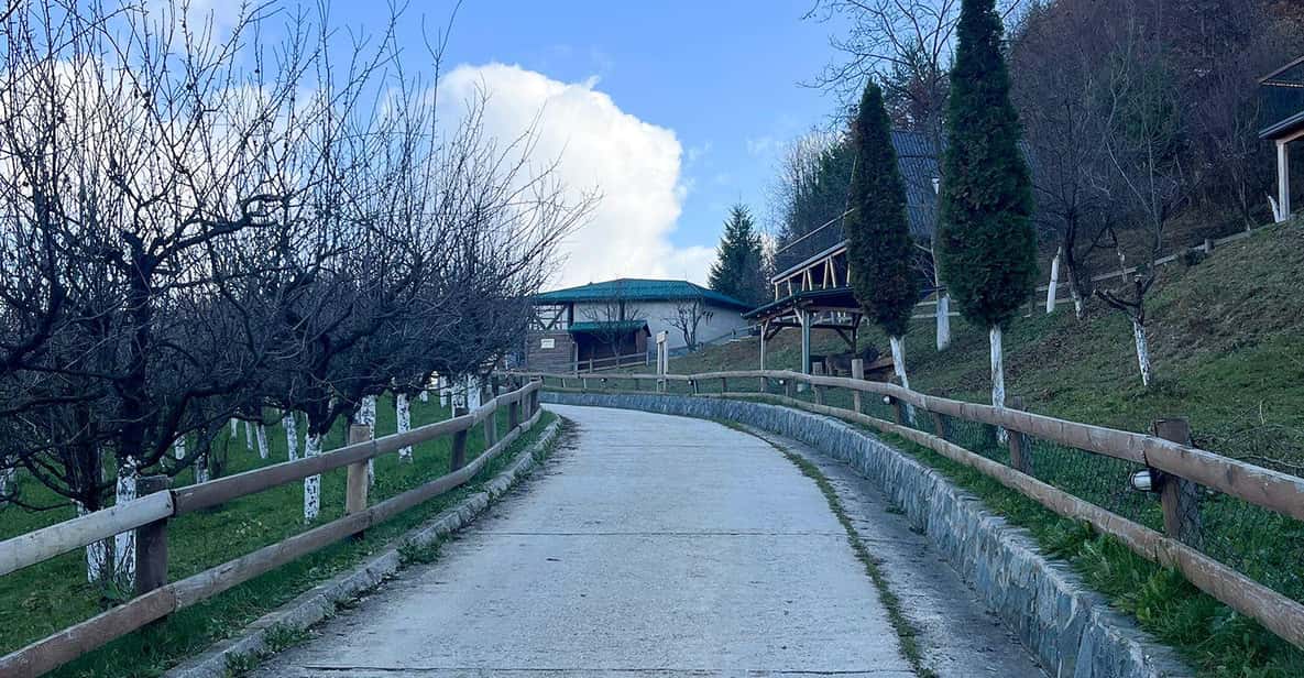 Fra Sarajevo: Visoko-pyramider, plantager og ridning | GetYourGuide