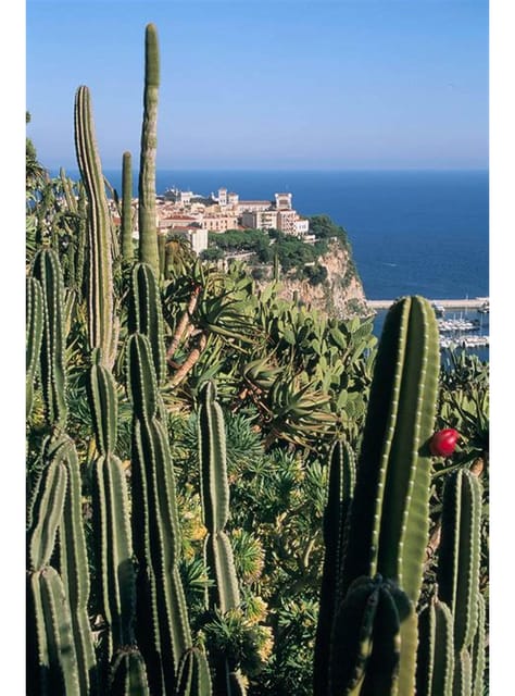 From Nice: Full-day tour of Eze, Monaco and Monte-Carlo . | GetYourGuide