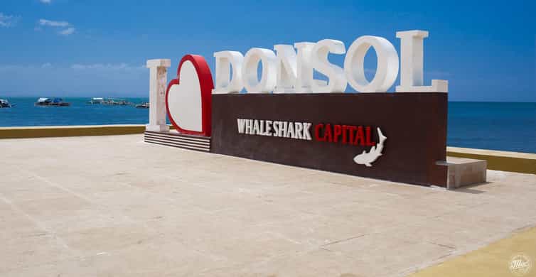 Interação com tubarões-baleia em Donsol Sorsogon por ZCHEDULISTA ...