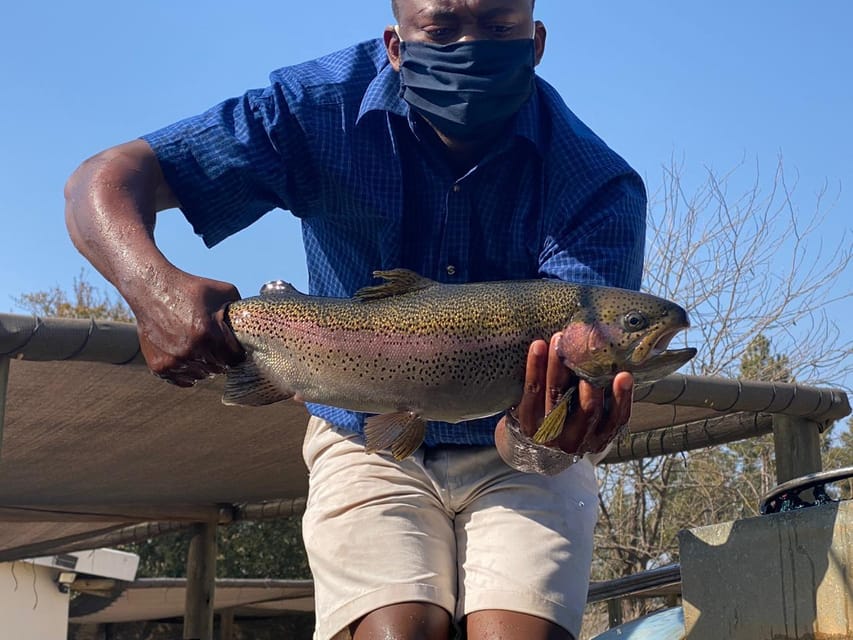 Cradle of humankind: Intro Group fly fishing lesson | GetYourGuide