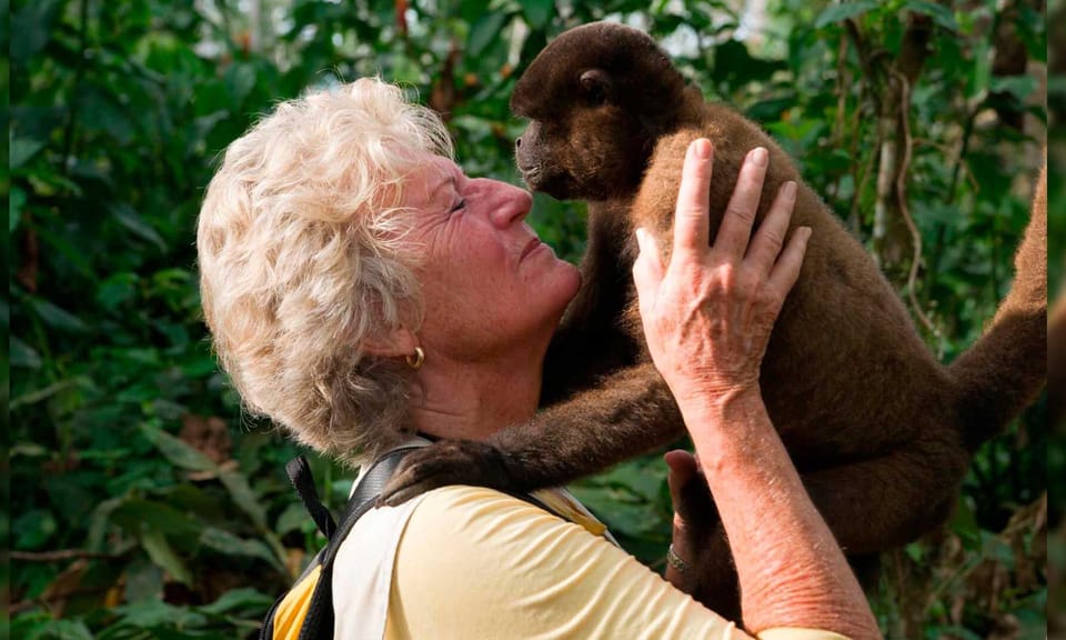 Ganztägige Affeninsel-Tour | GetYourGuide