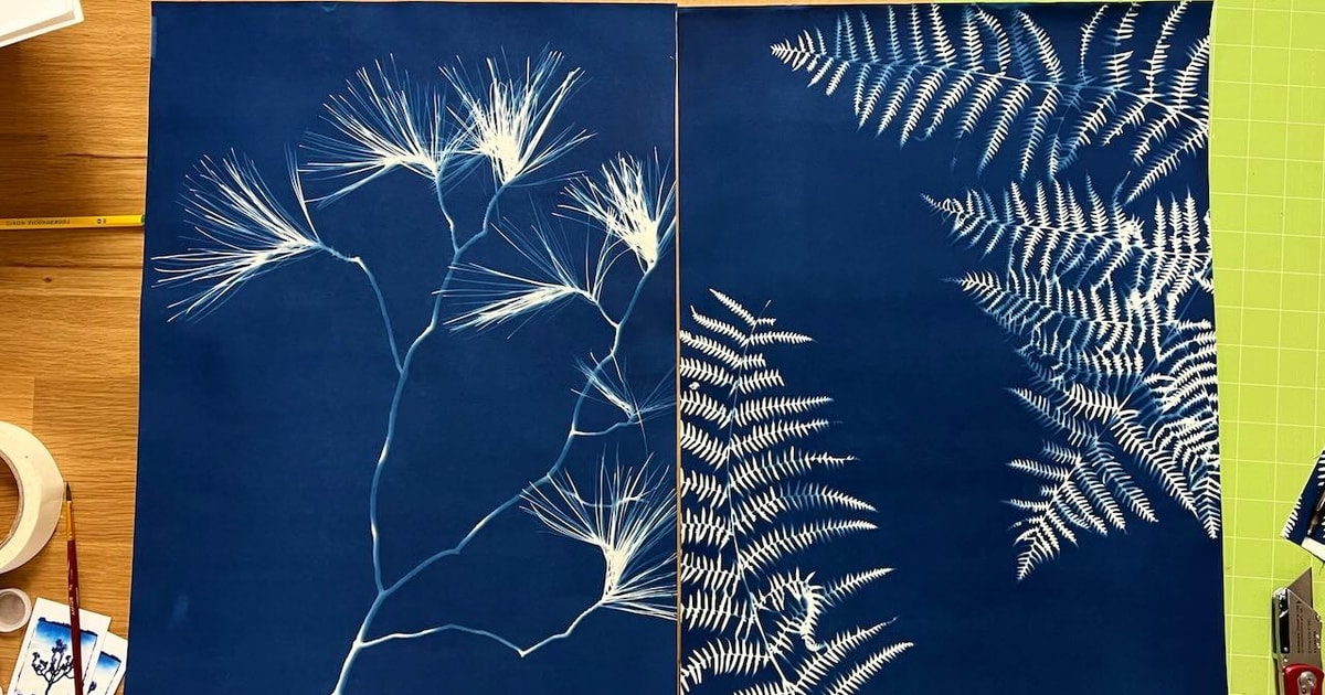 Joshua Tree: Cyanotype Sunprint Workshop | GetYourGuide