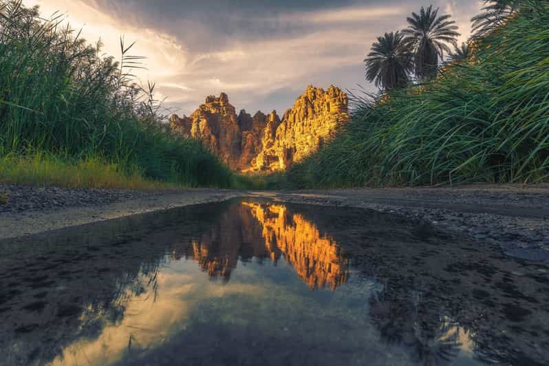From Tabuk: Wadi Al Disah Tour | GetYourGuide