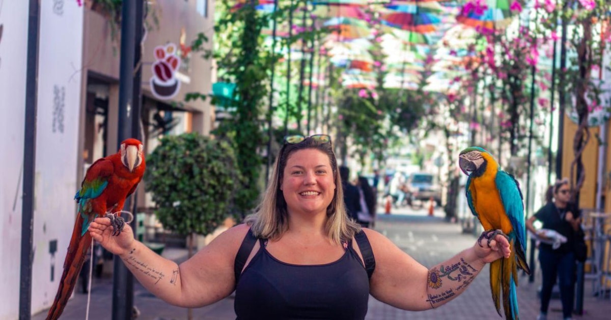 Short Excursions City Tour and 27 Waterfall Damajagua | GetYourGuide