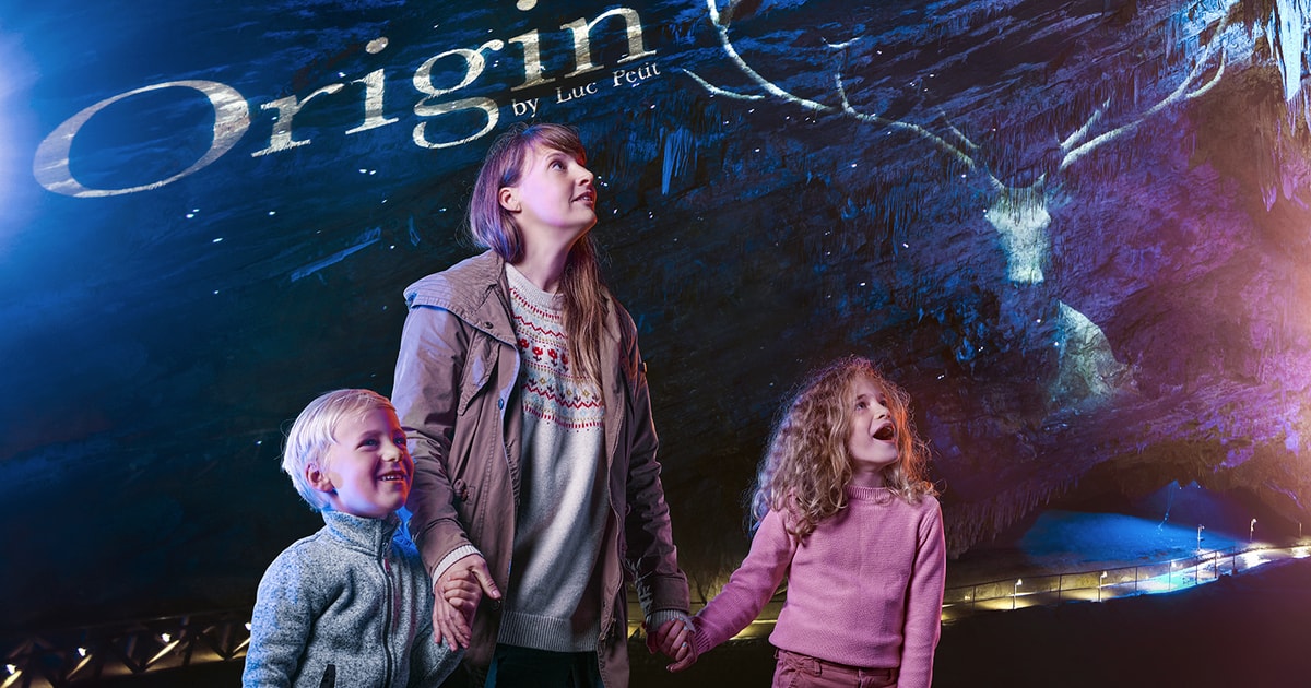 Ardennes: Caves of Han entry ticket | GetYourGuide