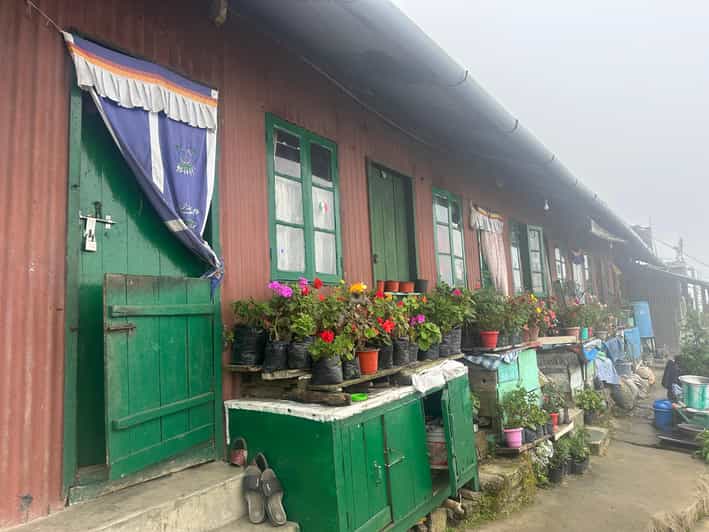Darjeeling Cultural & Nature Walking Guided Tour | GetYourGuide