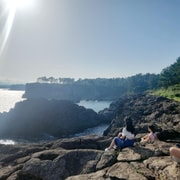 Jeju-si: Jeju Island South Guided Tour | GetYourGuide
