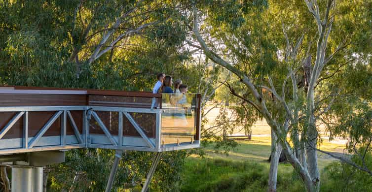 Roma: A Day and Night at The Big Rig | GetYourGuide