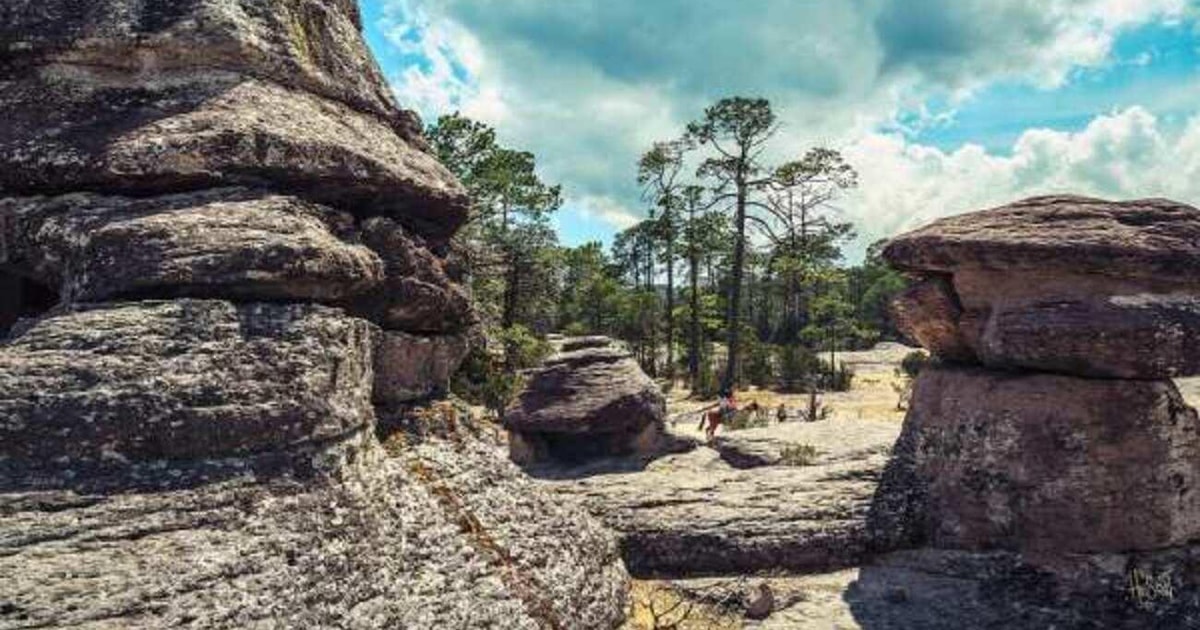 Durango: Beauties of the Sierra Madre Occidental Tour | GetYourGuide