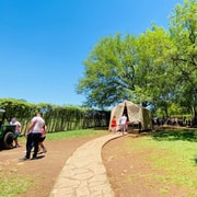 Monterrey: Aventura Safari en el Bioparque Estrella | GetYourGuide