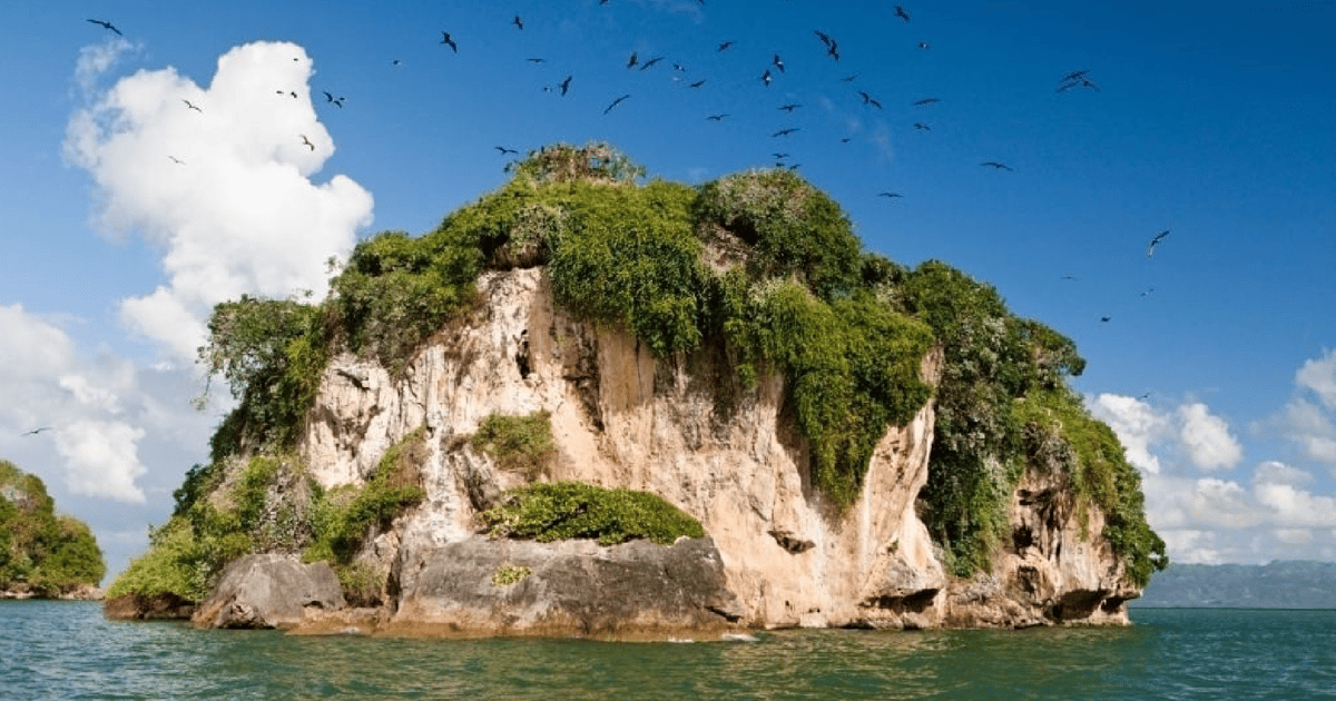 Da Samana: tour in barca e a piedi di Los Haitises con pranzo ...