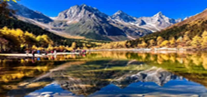 Bipenggou & Dujiangyan Panda Valley 2 Days Private Tour | GetYourGuide