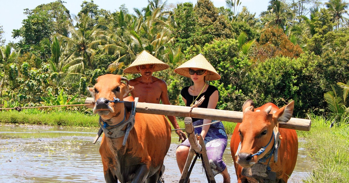Bali: Experience Authentic Balinese Life Private Tour | GetYourGuide