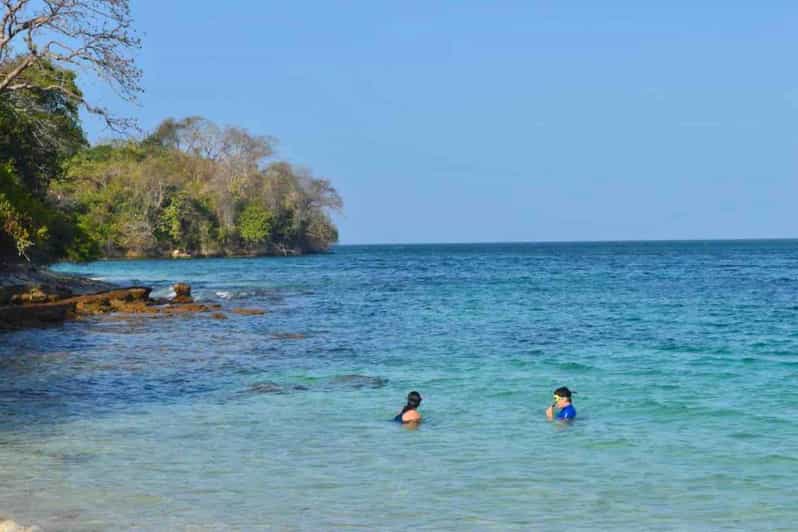 From Panama City: Whale Watching & Las Perlas Beach Day Pass | GetYourGuide