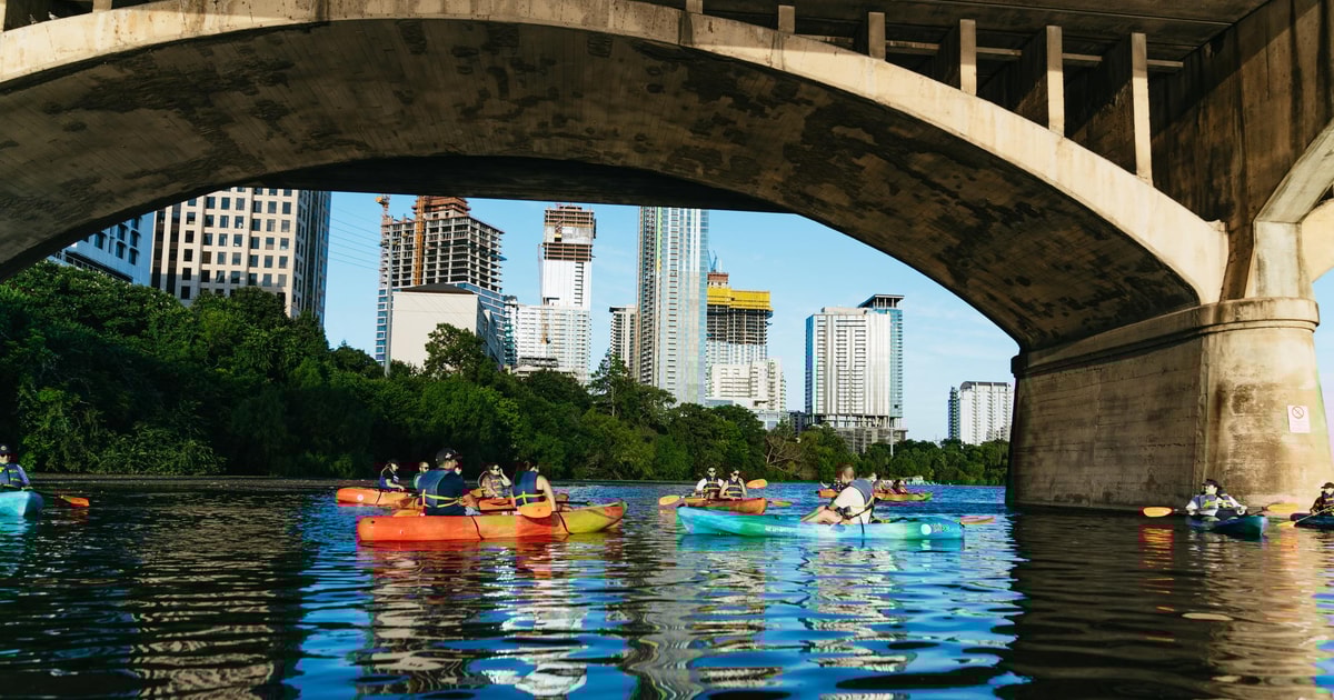 Austin: Sunset Bat Watching Kayak Tour | GetYourGuide