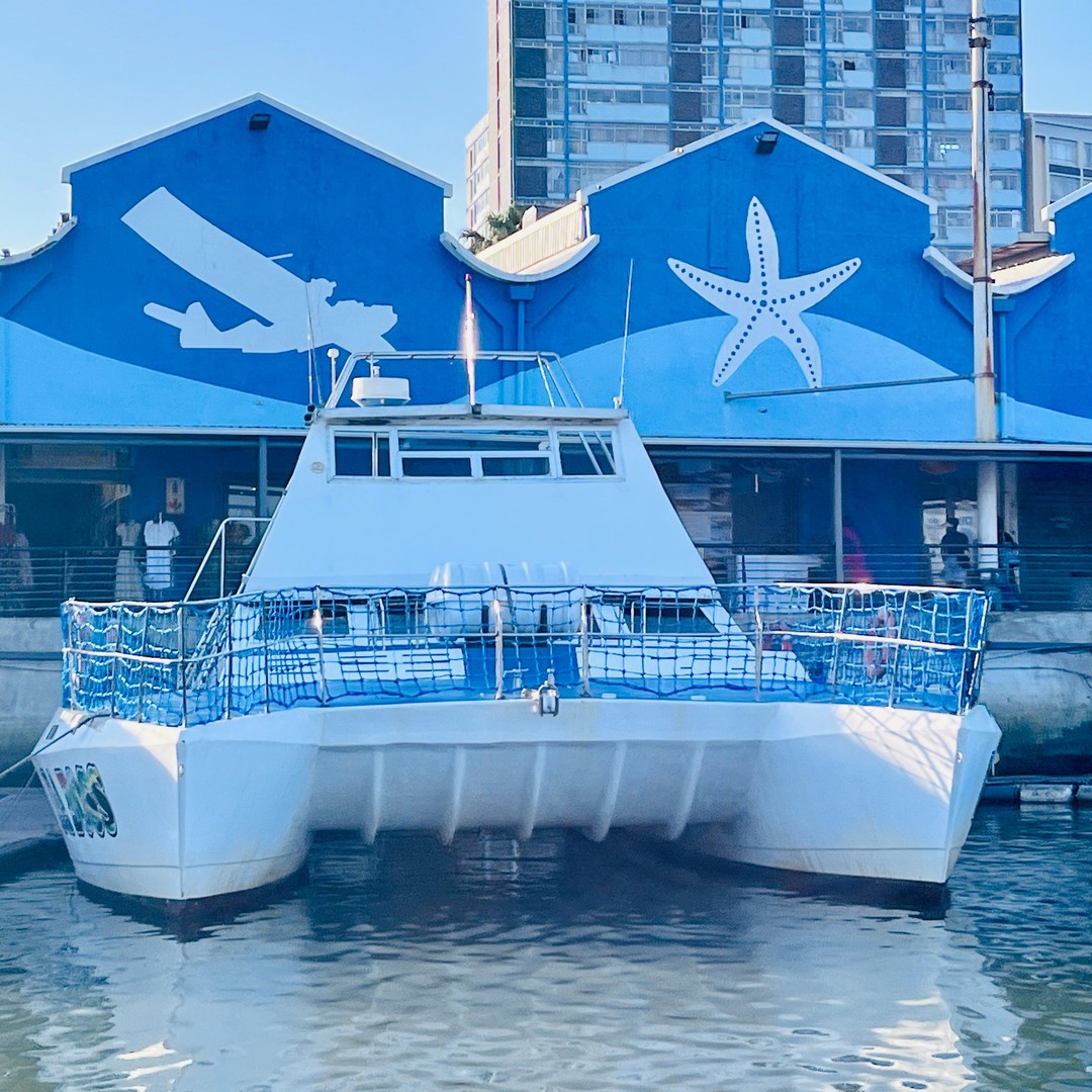 Durban: 1-Hour Boat Cruise from Wilson's Wharf | GetYourGuide