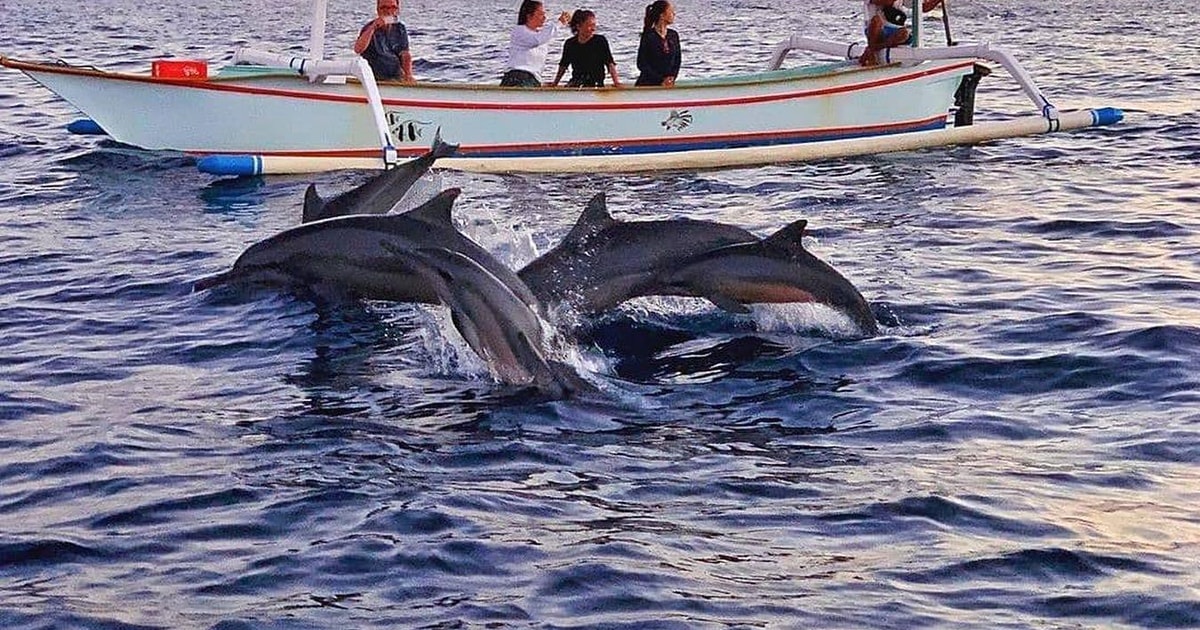 Lovina: Dolphin Watching, Gitgit Waterfall and Ulun Danu | GetYourGuide