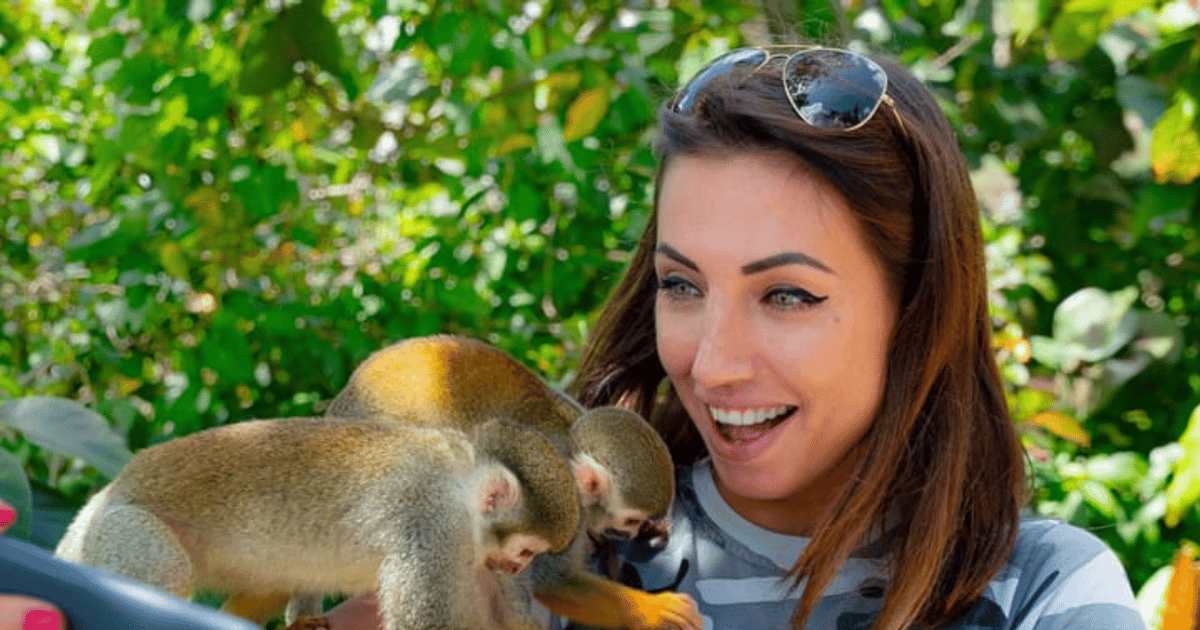 Punta Cana: Half-day tour Monkey Land Safari Tour | GetYourGuide