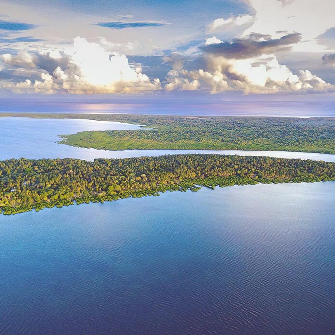 Mafia Island: Chole Island Tour with Sandbank Lunch | GetYourGuide