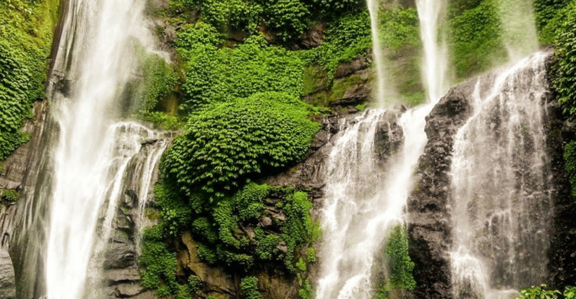 Bali Sekumpul / Cascada de Banyumala y Parada en 2 Destinos | GetYourGuide