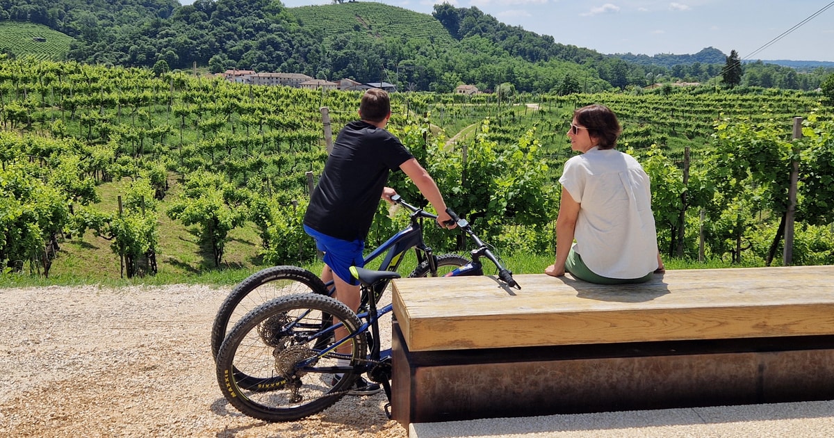 Valdobbiadene: tour guidato in e-bike tra le colline del Prosecco ...