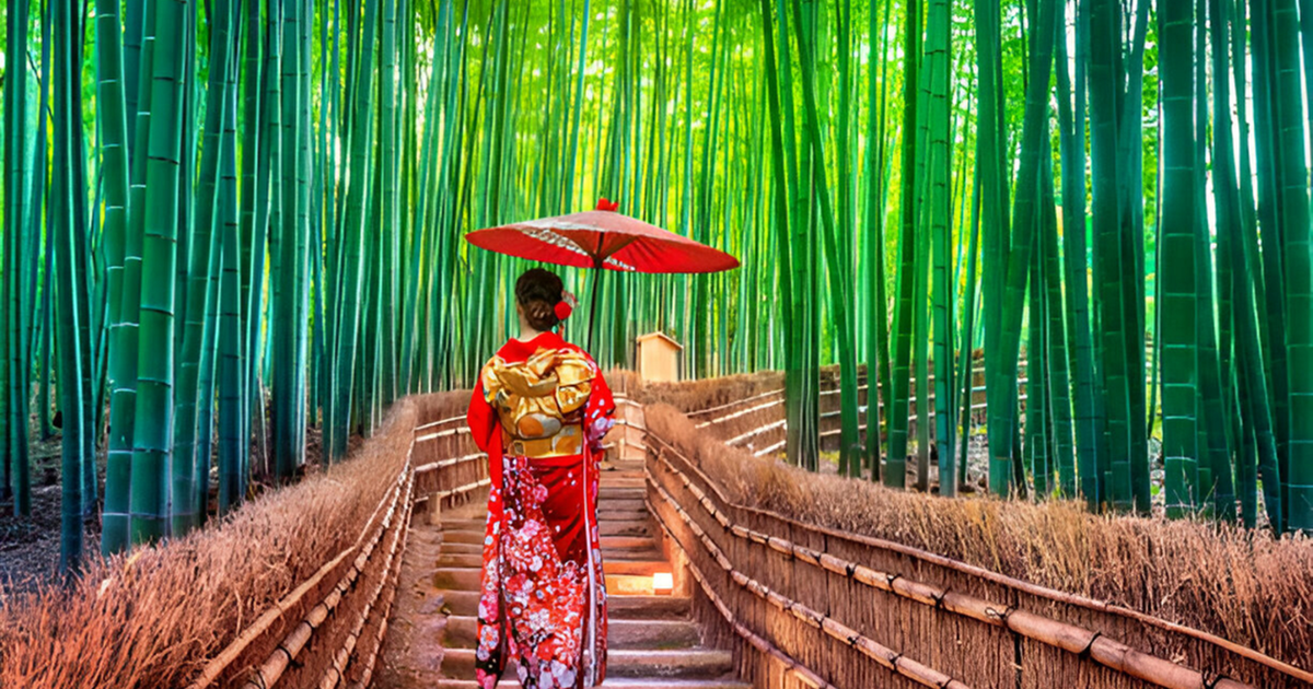 Osaka/Kyoto: Kyoto and Nara Guided Day Trip | GetYourGuide