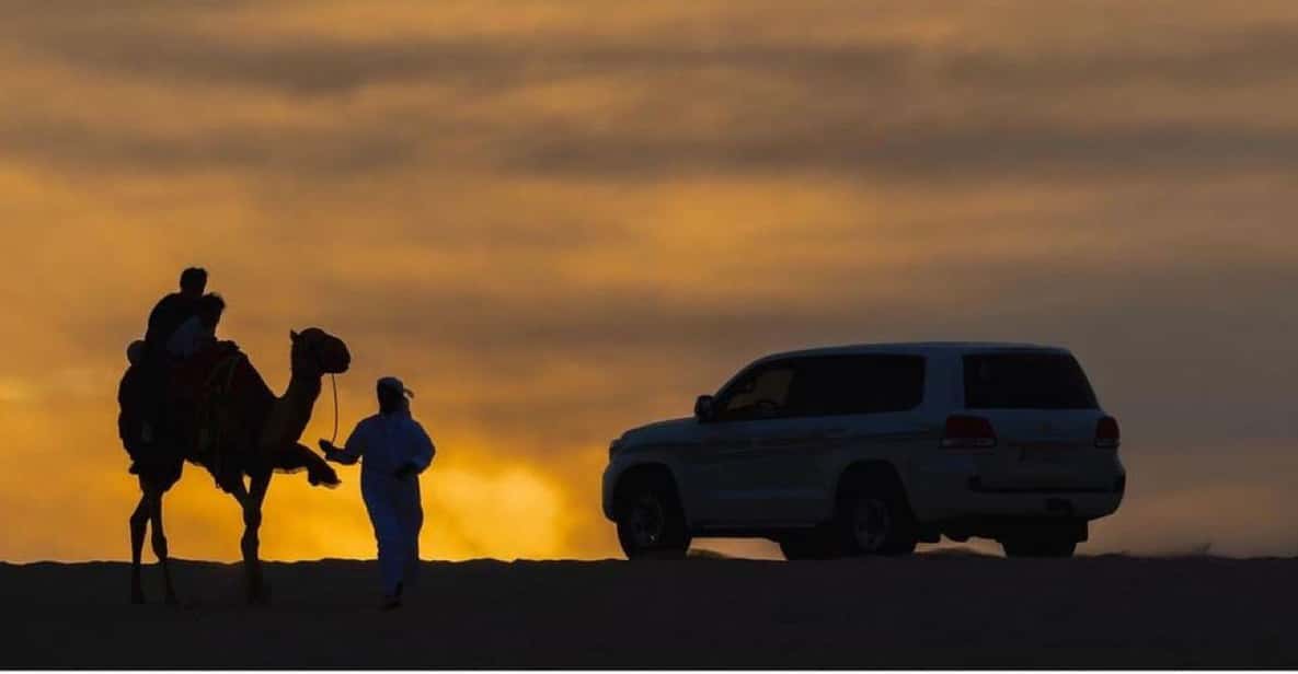 Doha: Sterren kijken in de woestijn met duinafdaling en kamelentocht ...