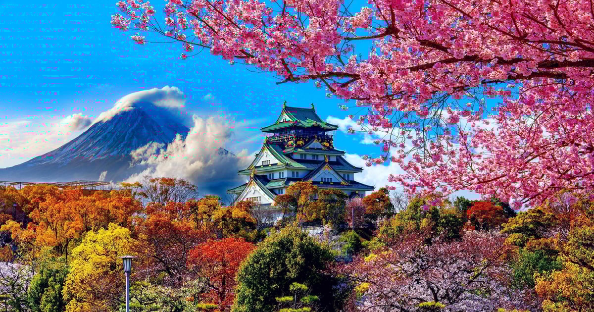 From Kyoto/Osaka/Nara: Private Osaka Luxury Car Tour | GetYourGuide