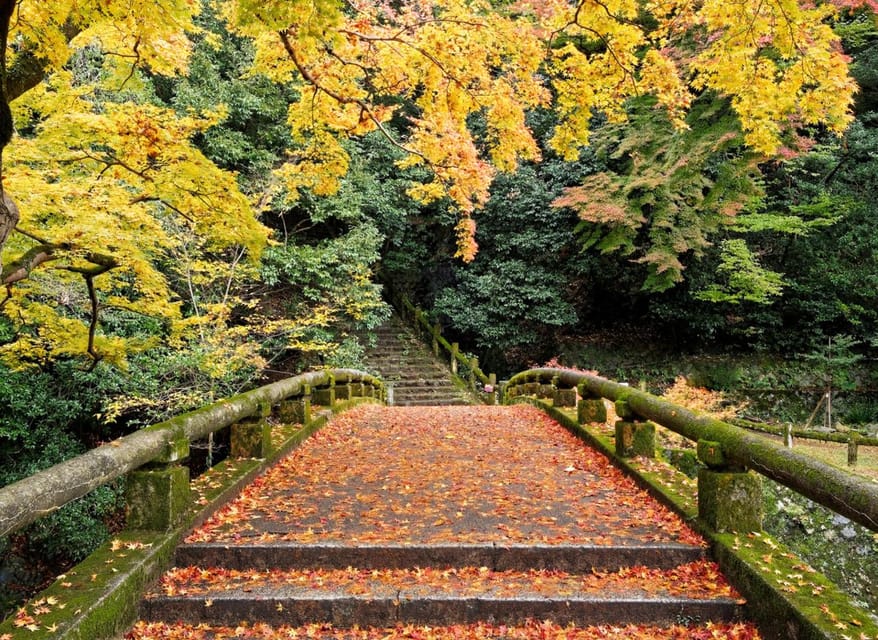 Minoo Park Adventure: Nature, Temples, and Coffee Bliss | GetYourGuide