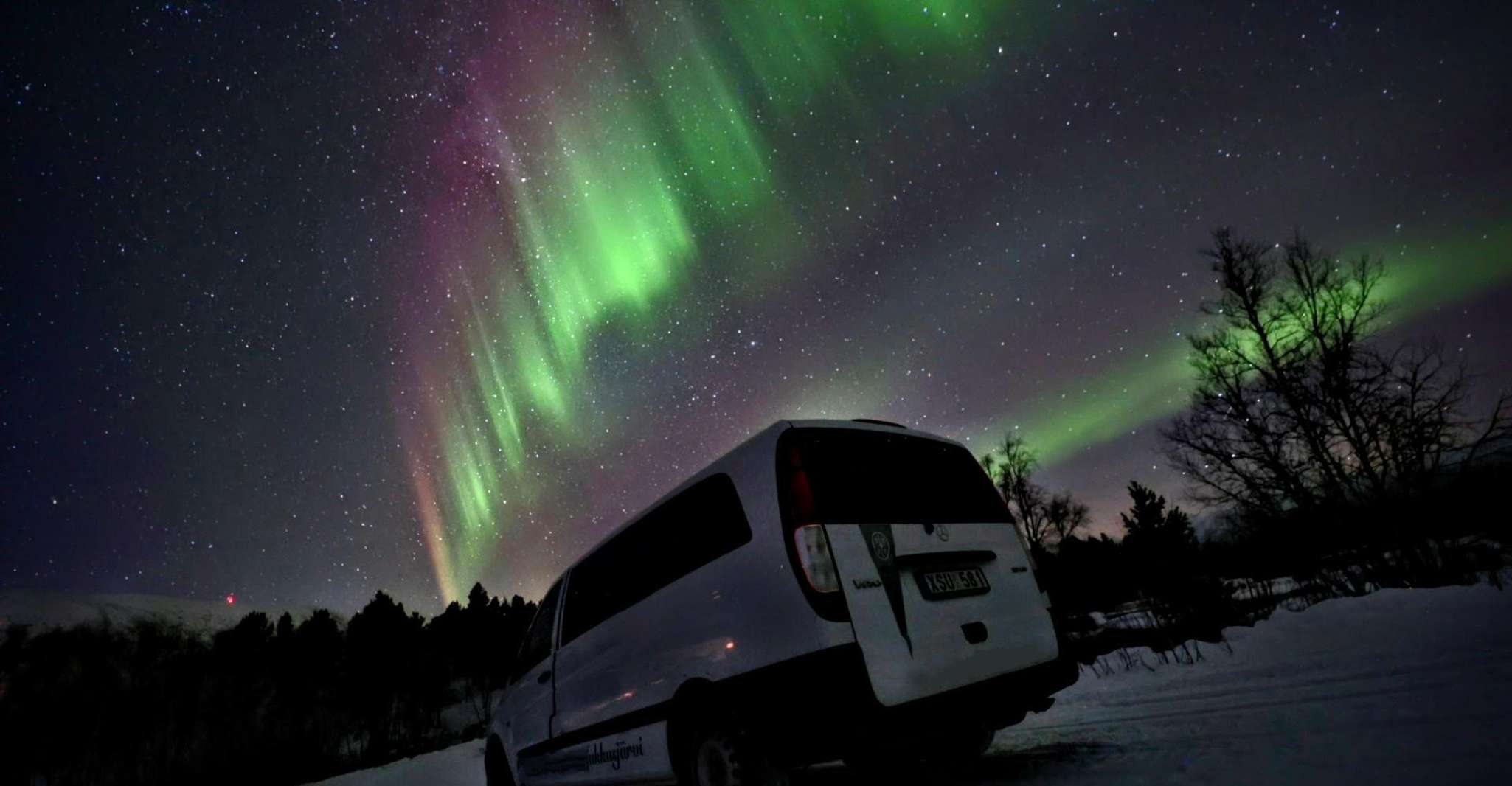 Northern light with transfer and photographer | Other Experience in Kiruna