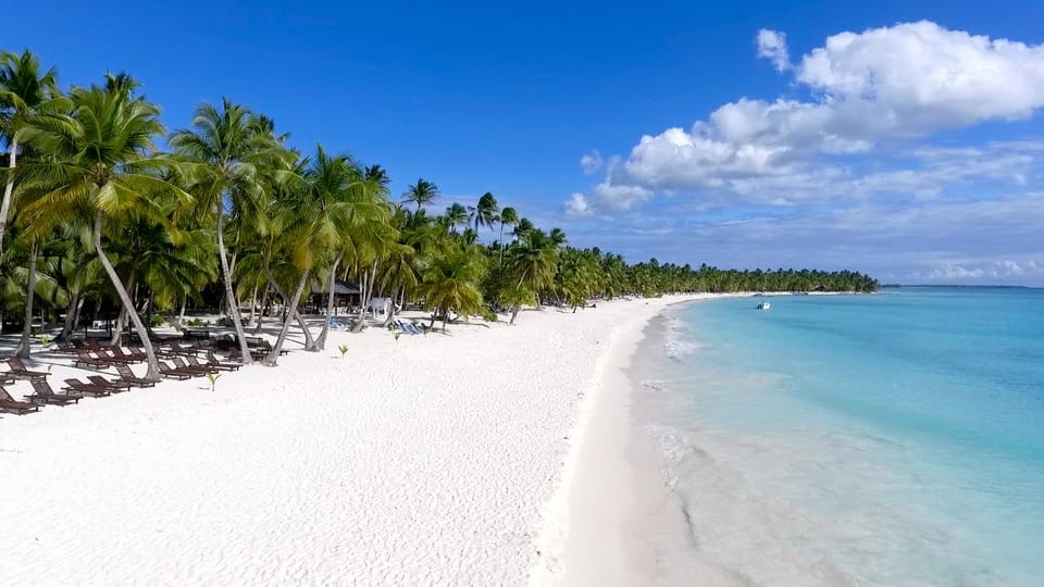 Santo Domingo: Saona Island full-day tour all-inclusive | GetYourGuide