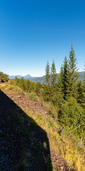 From Narvik: Round-Trip Arctic Train Ride on Ofoten Railway | GetYourGuide