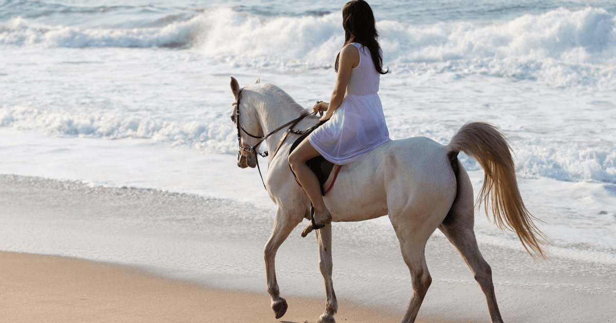 Horse Riding by the Beach | GetYourGuide