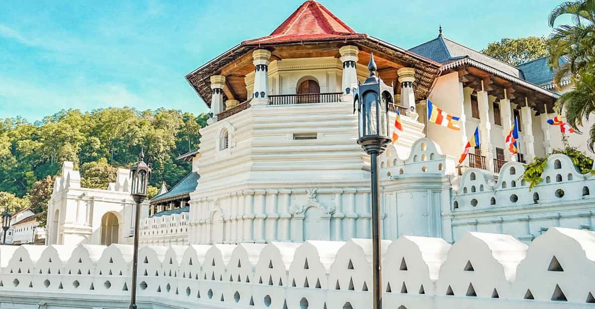 Colombo to Kandy Temple of Tooth Day Trip (Kandy City Tour) | GetYourGuide