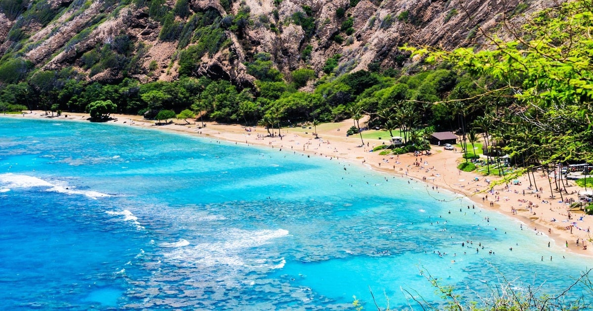 Oahu Circle Island Tour - de bedste steder og strande | GetYourGuide