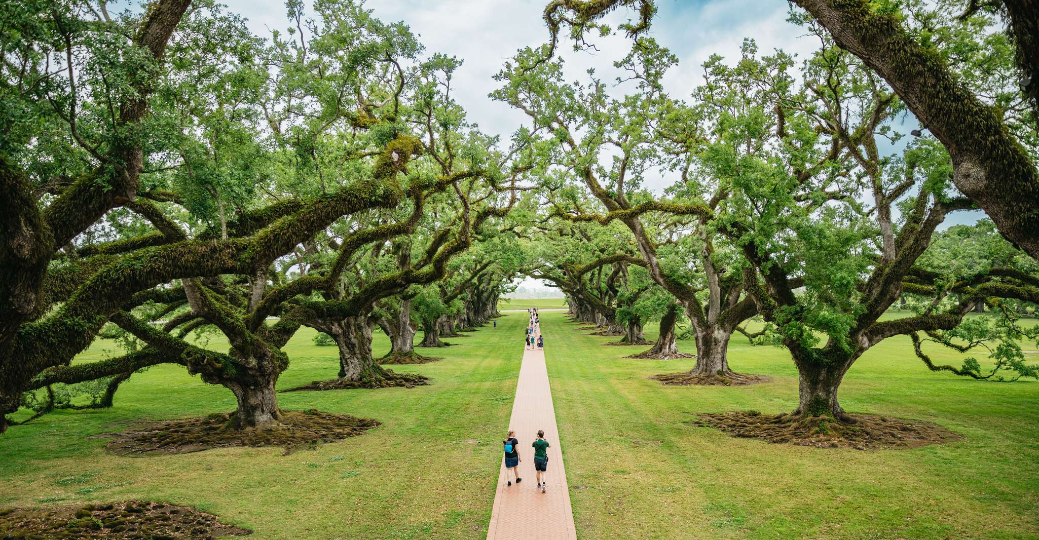 New Orleans, Oak Alley Plantation and Swamp Cruise Day Trip | Water ...
