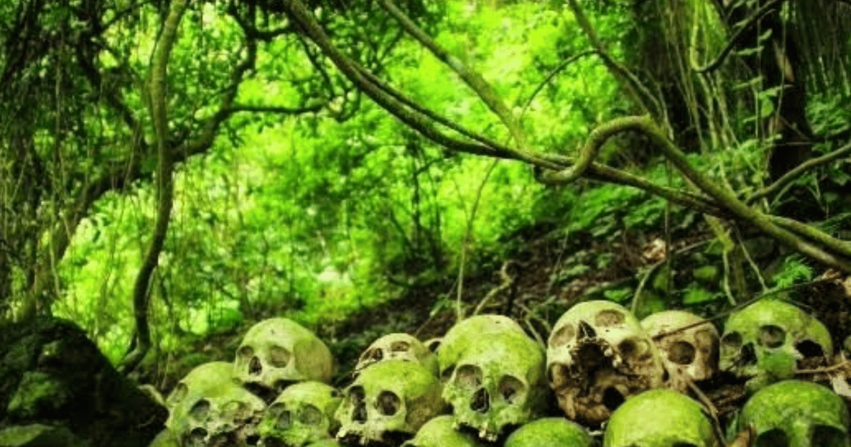 Bali Journey of The Soul: Trunyan Village Cemetery Tour | GetYourGuide