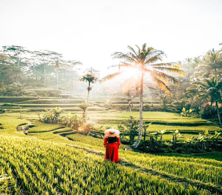 Ubud: Ubud Private -Scret Waterfalls & Instagram Tour | GetYourGuide