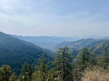 Shimla: Wildlife Sanctuary & Water Catchment Guided Tour | GetYourGuide