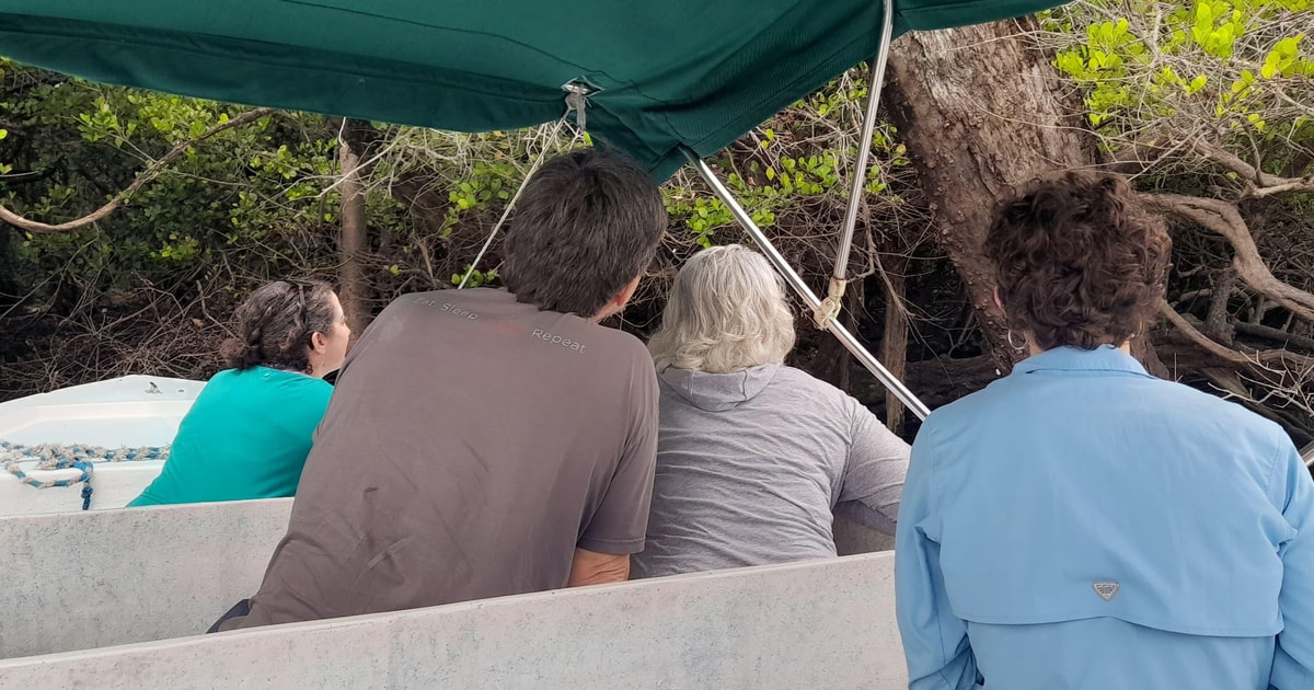 Belize City: wycieczka po Majach Lamanai i rejs łodzią po dżungli ...