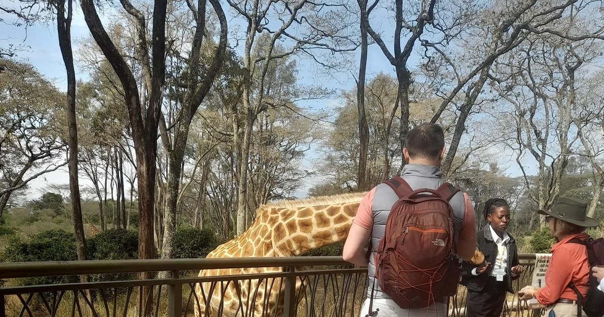 Elephant orphanage, Giraffe center, kobe beads tour | GetYourGuide