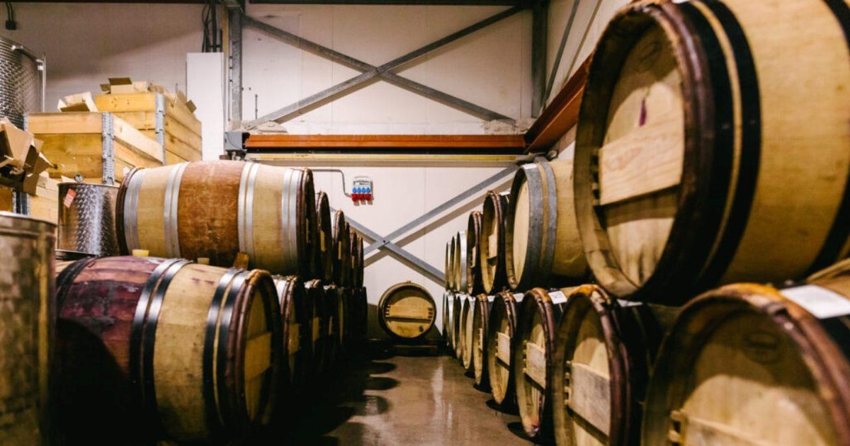 Amsterdam: Europe's Largest Urban Winery Tour and Tasting | GetYourGuide