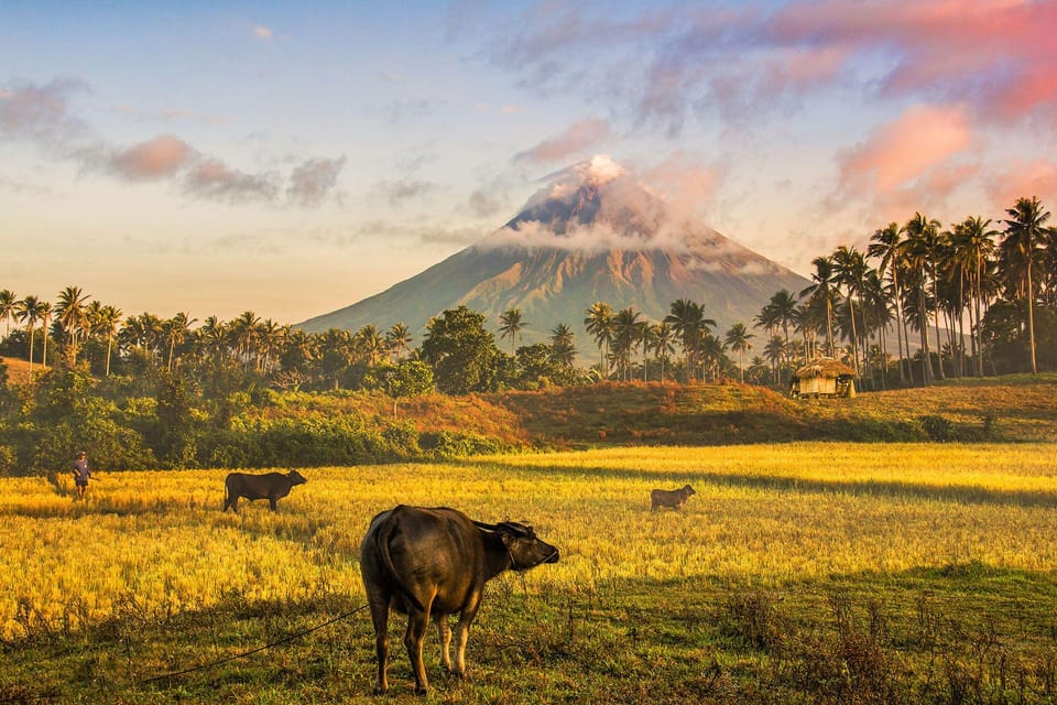Bicol Mayon Volcano Easy Trek (geteilte Tour) | GetYourGuide