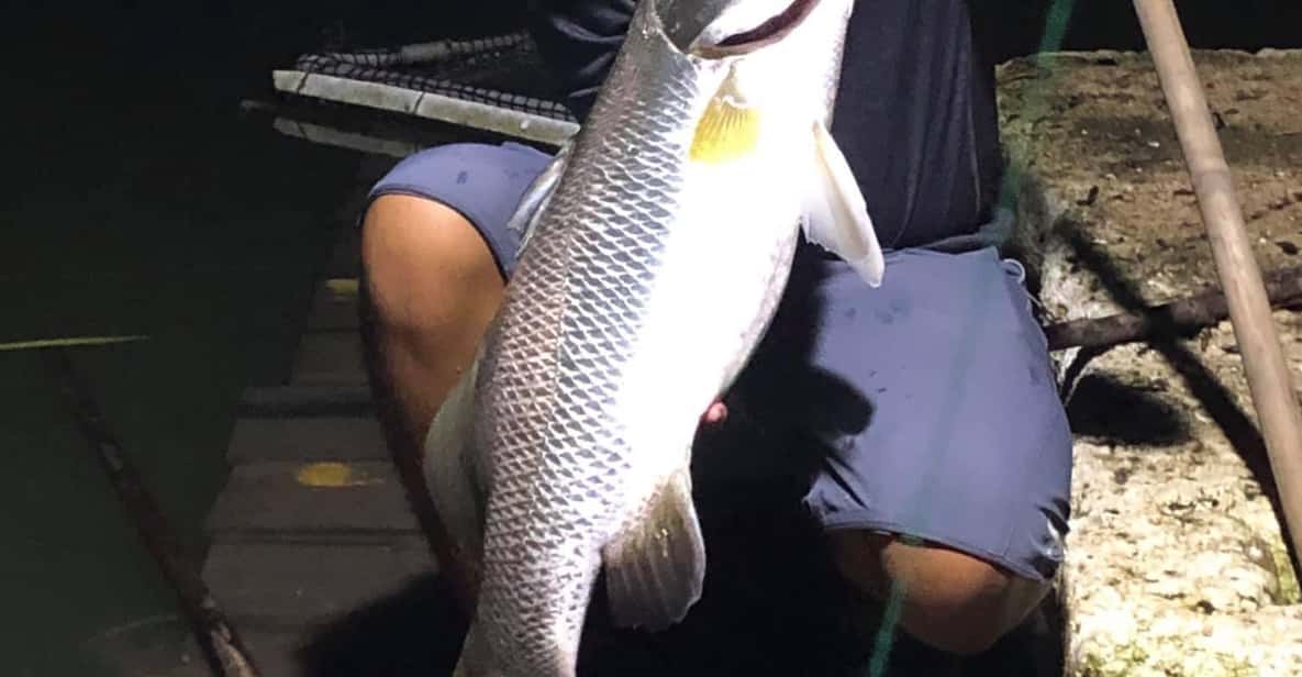 BARRAMUNDI VIEHE + JÄTTILÄINEN MAKEAN VEDEN KALASTUSRETKI | GetYourGuide