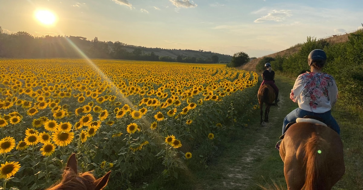 passeggiata nelle colline senesi con sfondo Siena | GetYourGuide